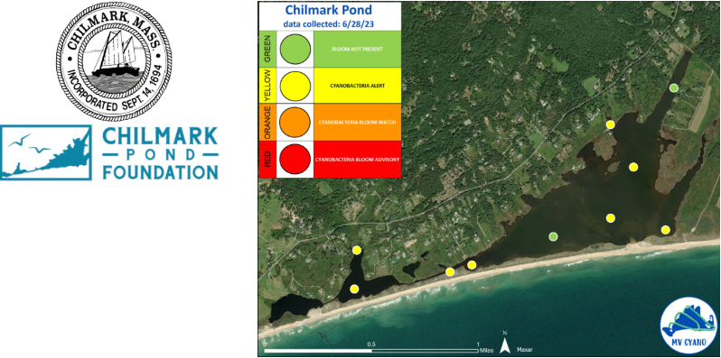 Algae Blooms and Pond Water Quality | chilmarkma