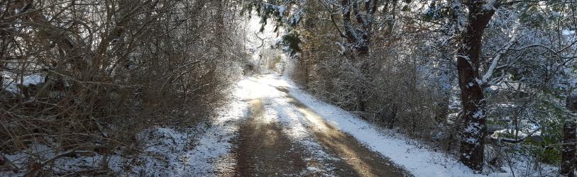 Maps and Mapping Links | chilmarkma
