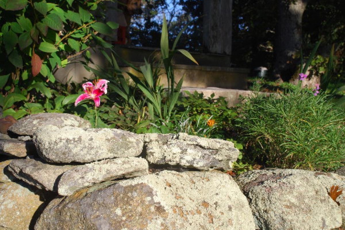 Chilmark Photo Gallery | chilmarkma